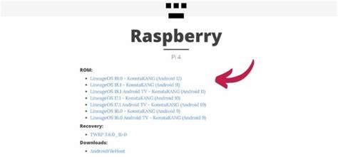 ¿cómo Instalar Android En La Raspberry Pi 4 Play Store Raspberrytips