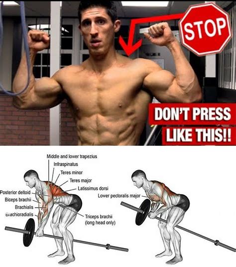 T Bar Row Machine Muscles Worked Iniquitous Webzine Picture Library