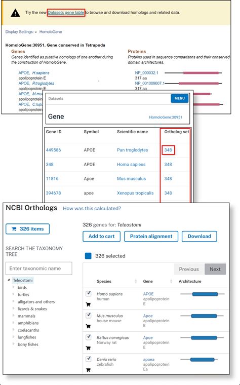 New Way To View And Download Related Genes Ncbi Insights