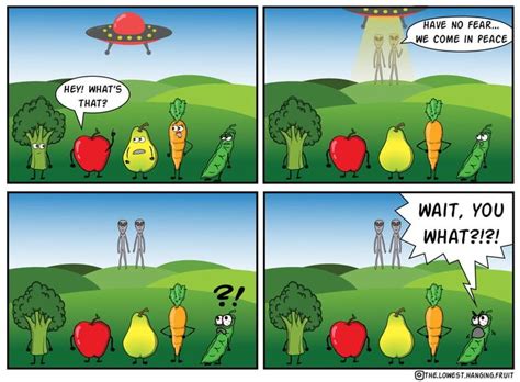 Massive Misunderstanding 9gag Deceit Hatred Best Funny Pictures