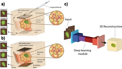 Deep Neural Network Based 3d Reconstruction Of Cellular Images To Track