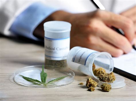 Legisladores Entrerrianos Analizan El Proyecto De Ley De Cultivo De