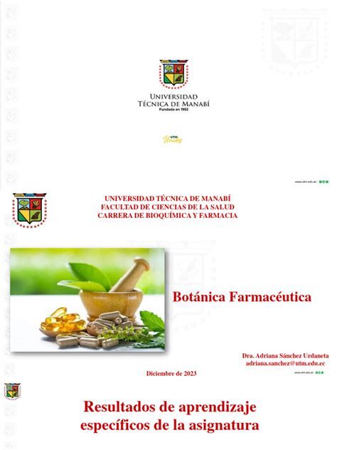 Unidad 4 Clase 3 Usos De Briofitas Y Pteridofitas Pdf Musgo Plantas