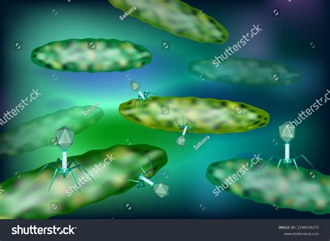 Phage Inserting Dna Into Bacterium Bacteriophage Stock Vector Royalty Free 2198376275