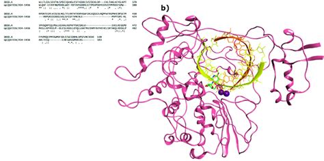A Sequence Alignment Between Hnov Rdrp From The 3bso Crystal