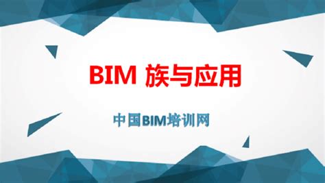 Bim族与应用 学习视频教程 腾讯课堂