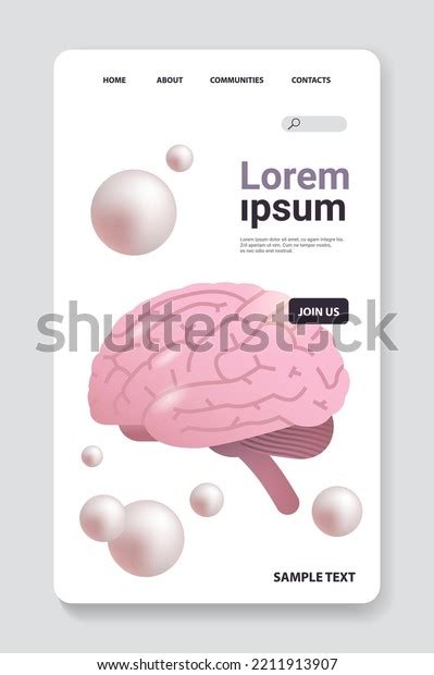 Anatomical Brain Icon Human Body Internal Stock Vector Royalty Free Shutterstock