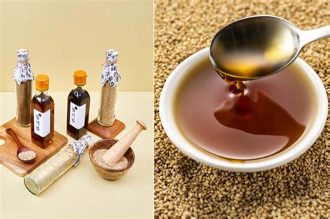 건강먹방 비슷하지만 달라”참기름vs들기름 차이점은