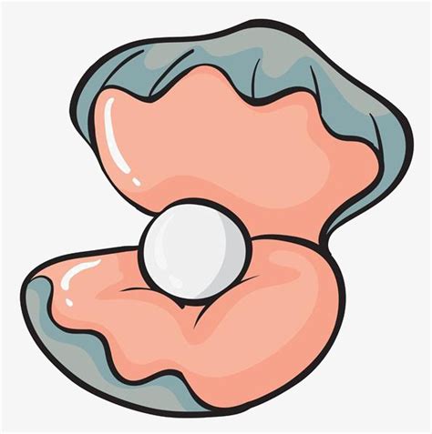 Collection Of Clam Clipart Free Download Best Clam Clipart On