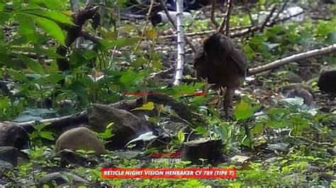 RETICLE NIGHT VISION HENBAKER CY 789 TIPE 7 - YouTube