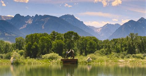 Cpu Exporting Color Loss Rpremiere