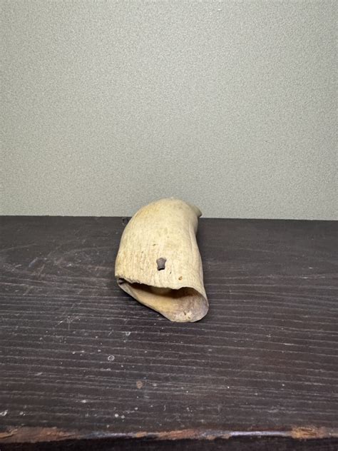 マッコウクジラ 特大 680g 根付 印材 香木 伽羅 蒔絵 煎茶 中国 鉄瓶 鯨 イッカク ウニコール 素材 銀 金 骨 標本 歯 牙 珊瑚 翡翠根付｜売買されたオークション情報
