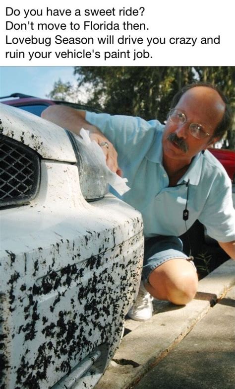 Pin By Kathy Hethcox On Florida Florida Funny Moving To Florida Florida