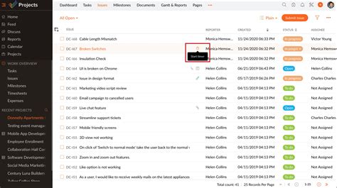 Task And Issue Timers Online Help Zoho Projects