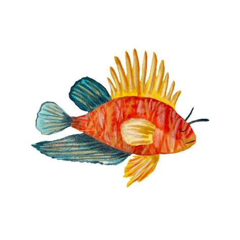 130 San Diego Sea World Stock Illustrations Royalty Free Vector