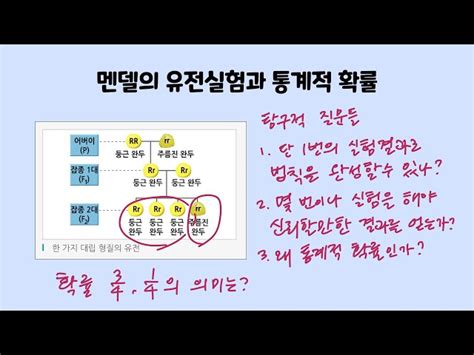 수학세특 확률과통계 수학주제탐구보고서 작성예시