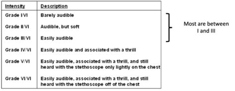 Heart Murmurs Flashcards Quizlet