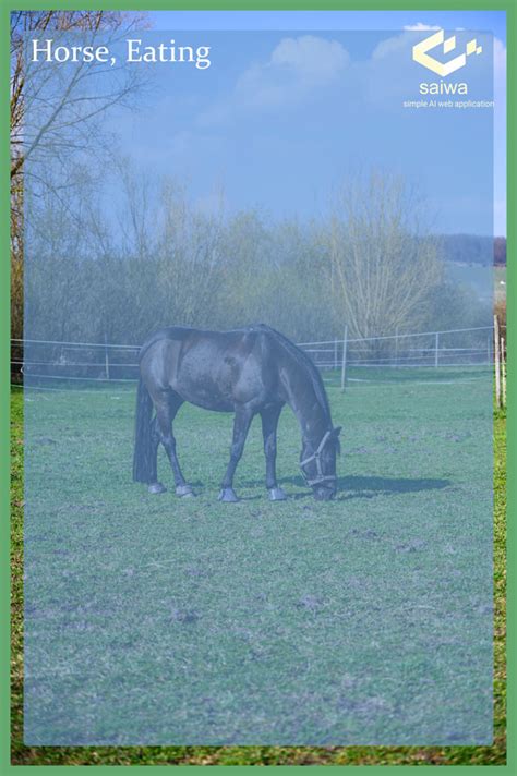 Fraime Everything About Classification Annotation