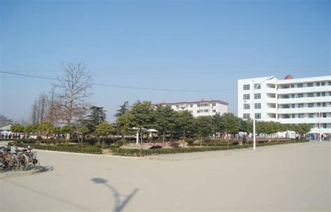 安徽省庐江盛桥中学图册 360百科