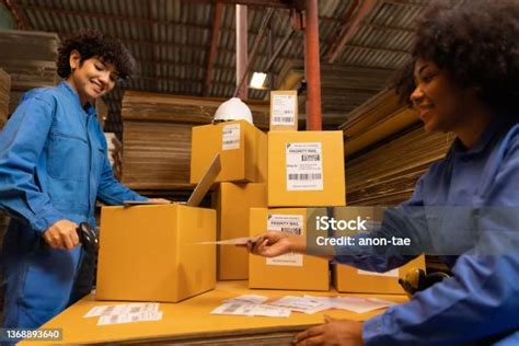 저장 소포 복용 및 바코드를 스캔하고 선반에 상자를 놓는 사람들 창고의 직장 배달 및 물류 개념에서 여성 비즈니스 담당자 사업가 소유자 2명에 대한 스톡 사진 및 기타