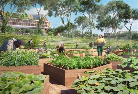 Во Африка ќе се гради зелен град без автомобили и без отпад