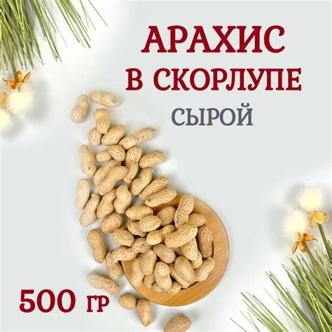 Арахис в скорлупе 500 грамм купить на Ozon по низкой цене 1502557158