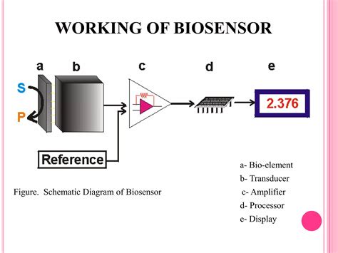 Biosensors Pptx