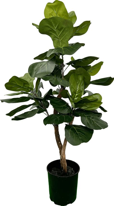 Lush 3 Artificial Fiddle Leaf Fig Tree