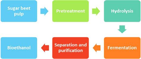 2 Diagram Of Bioethanol Production Process From Sugar Beet Pulp Download Scientific Diagram