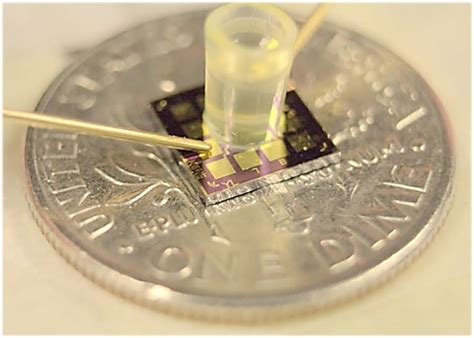 Publications Kong Research Group