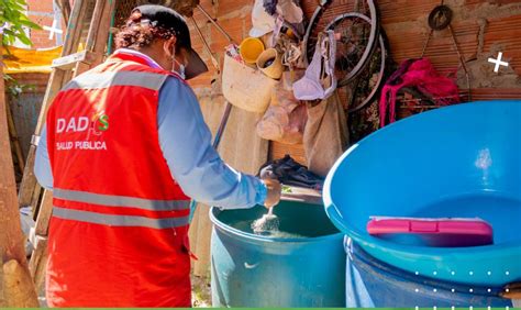 Estos Son Los Barrios Con Más Casos De Dengue En Cartagena Visor Caribe