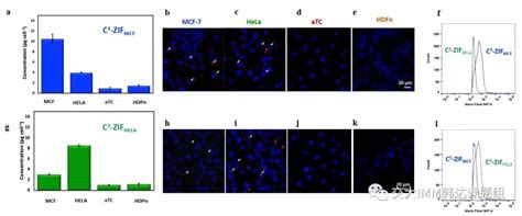 JACS丨 仿生金属有机框架用于细胞型特异的CRISPR Cas 的递送 企业官网