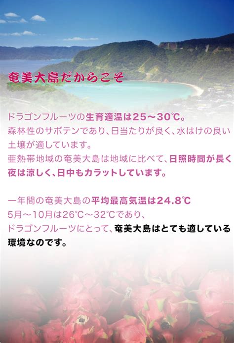 ドラゴンフルーツ通販｜奄美大島産ドラゴンフルーツを産地直送｜fruit Farmers