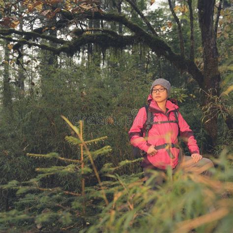 Female Hiker In Forest Stock Image Image Of Trip Backpack 62452261
