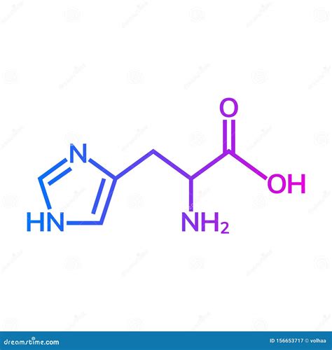 Histidine L Histidine His H Amino Acid Molecule It Is Used In The