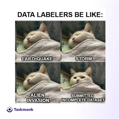 Taskmonk On Linkedin Taskmonk Datalabeling Aitraining Errorprevention