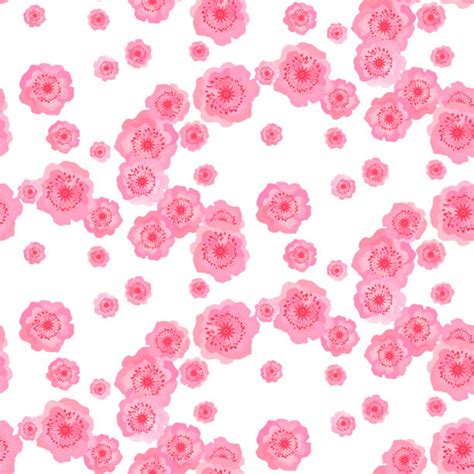 2 900 Pohon Sakura Ilustrasi Foto Stok Potret And Gambar Bebas Royalti