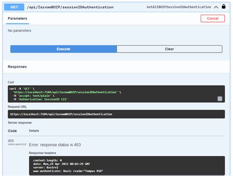 Authorizeauthenticationschemes Theonlyauthscheme Also Runs