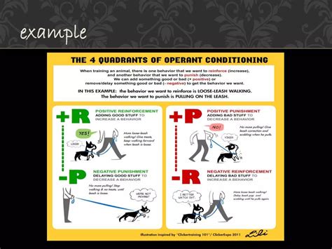 Reinforcement Motivation Theory Pptx