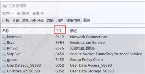 Windows 下提示某个端口被占用 需要关闭相应端口 Fatal Error Port 9100 Is Already In Use