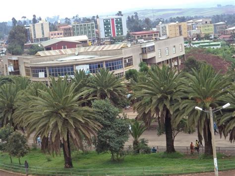 Fano Forces And Government Forces Renewed Fighting In Gojjam