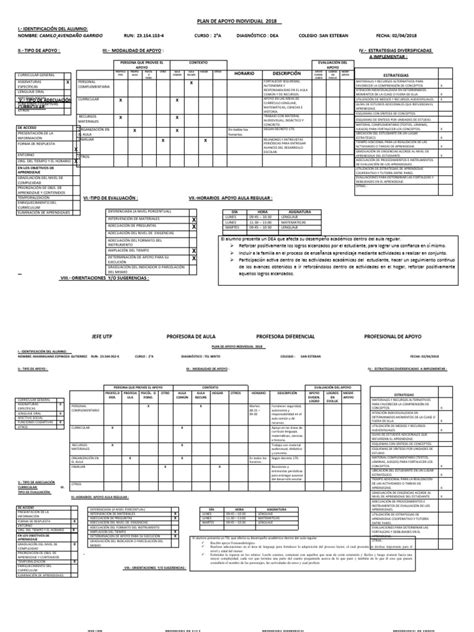 Plan De Apoyo Individual Pdf Evaluación Aprendizaje