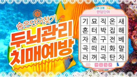 치매는 퀴즈로 예방할 수 있습니다 숨은단어찾기 치매예방 퀴즈 초성퀴즈 단어퀴즈 두뇌운동 뇌건강 치매테스트 기억력 집중력 강화 재밌는 퀴즈