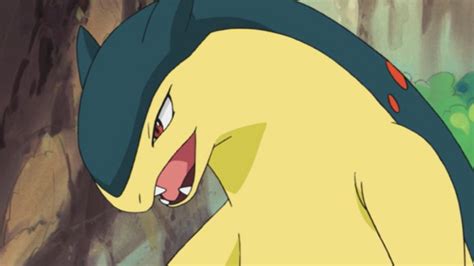 How To Beat 7 Star Typhlosion Tera Raid Best Counters In Pokemon