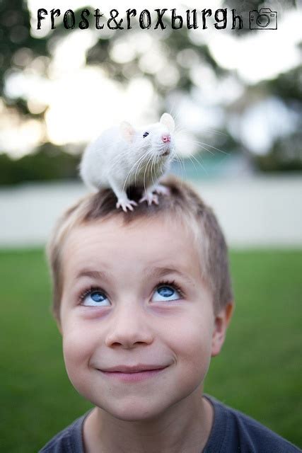 Ethan And George George Ethan Photo Sharing