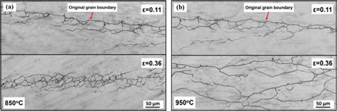 Shows The Microstructure Evolutions During Deformation At 1050 • C And