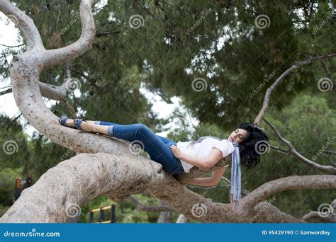 Pretty Woman Sleeping In A Tree After Being Over Worked And Having Trouble Sleeping Stock Photo