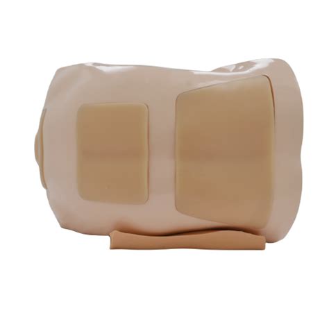 Intraspinal Anesthesia Ultrasound Model Skin Tone