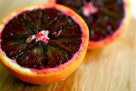 Top 20 Varieties Of Oranges You Must Know Crazy Masala Food