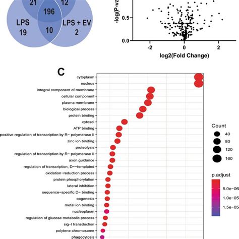 Ev Treatment Suppresses Mirna Expression With Immune Related Targets Download Scientific